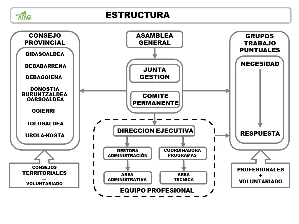 ORGANIGRAMA FUNCIONAL | AFAGI